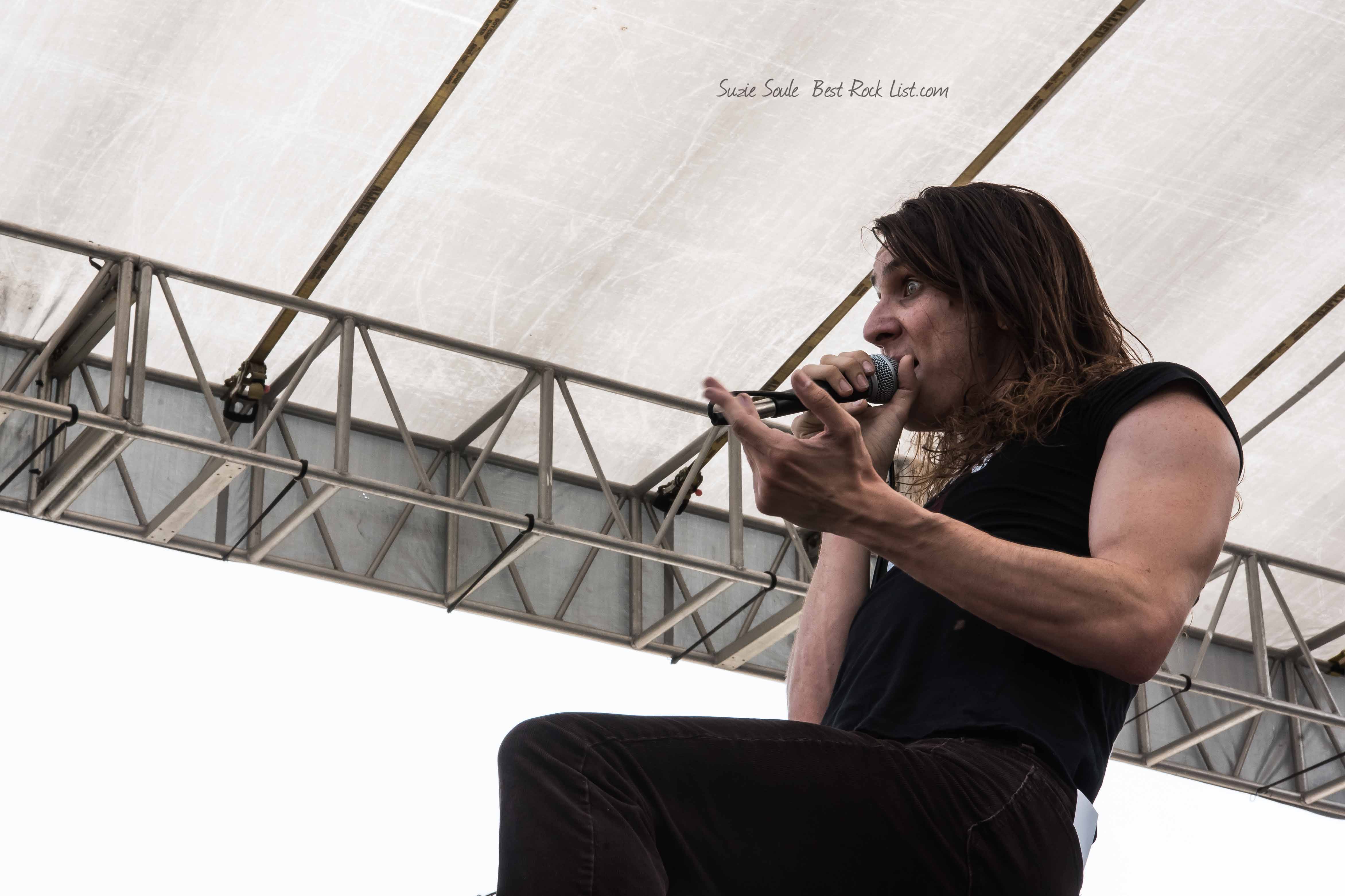 Joyous Wolf Photo Gallery - bestrocklist.com