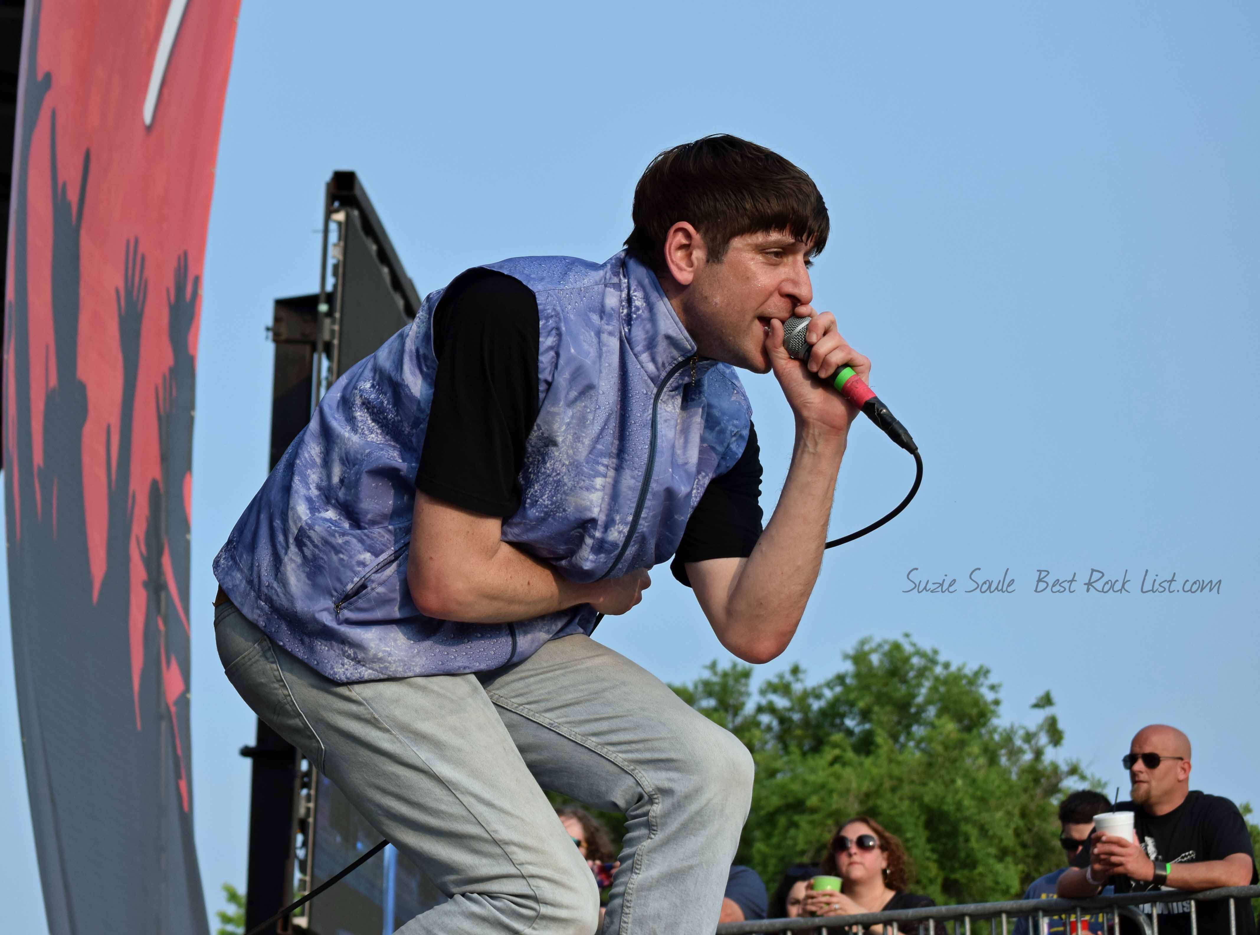 Spirit Animal Photo Gallery - bestrocklist.com